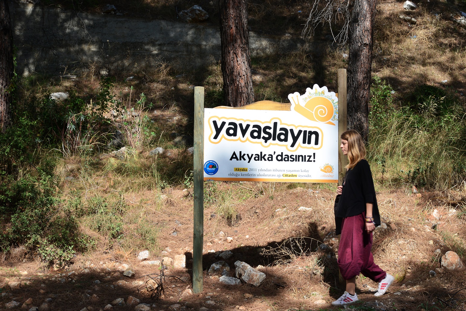 Akyaka ve Azmak Çayı